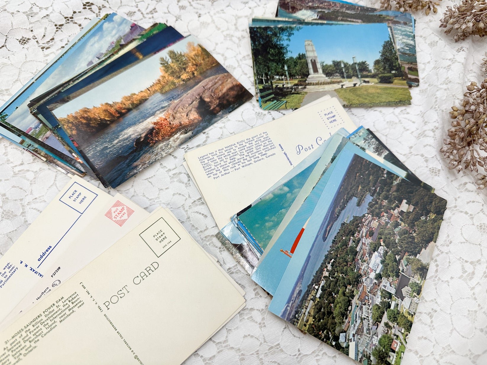 Postcards (Set of 20) – A House of Books