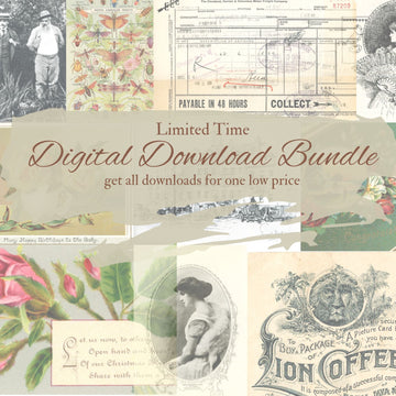 Vintage Books and Ephemera – A House of Books