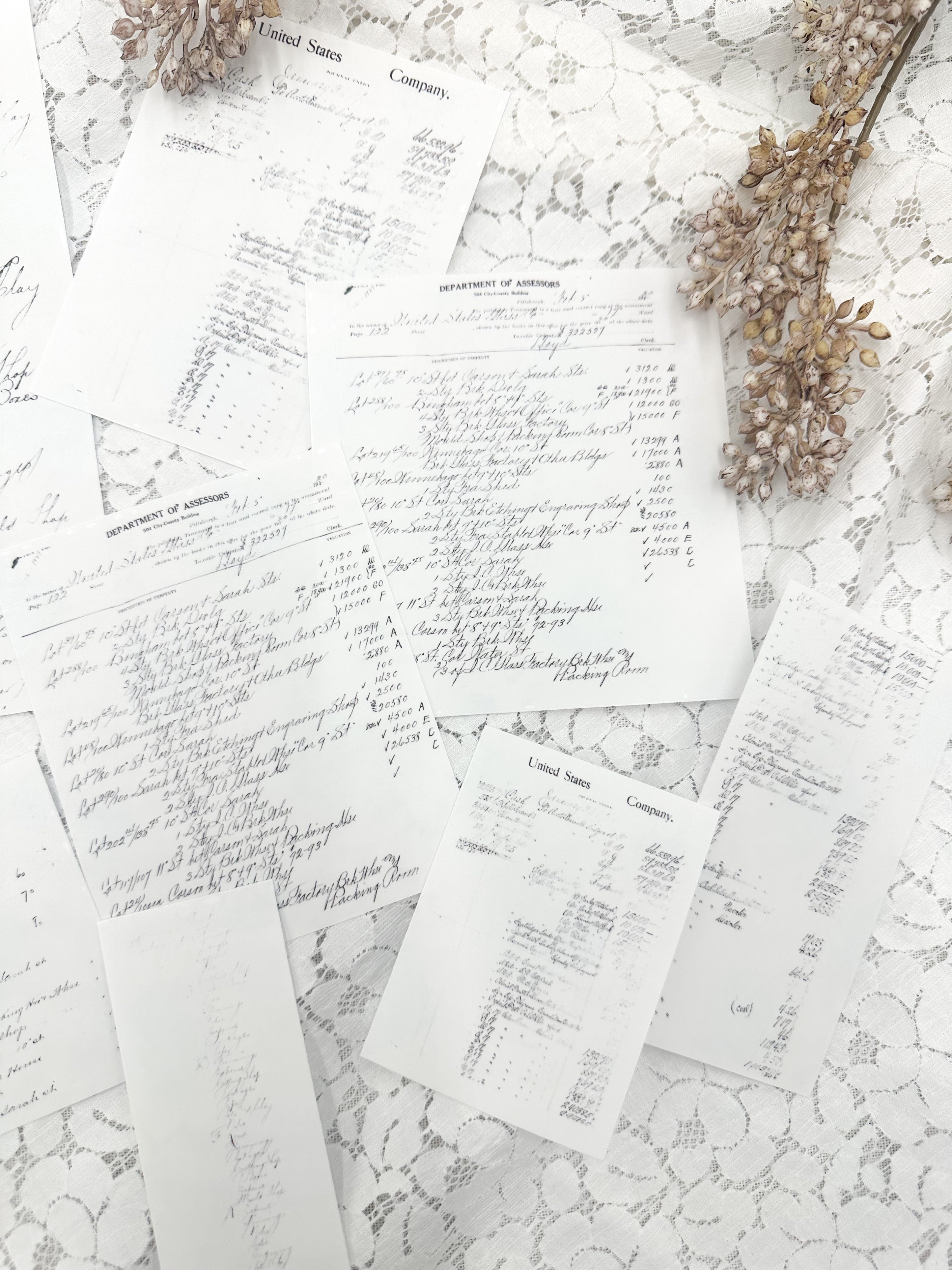 Clear Matte Stickers of Vintage Ledger Writing – A House of Books