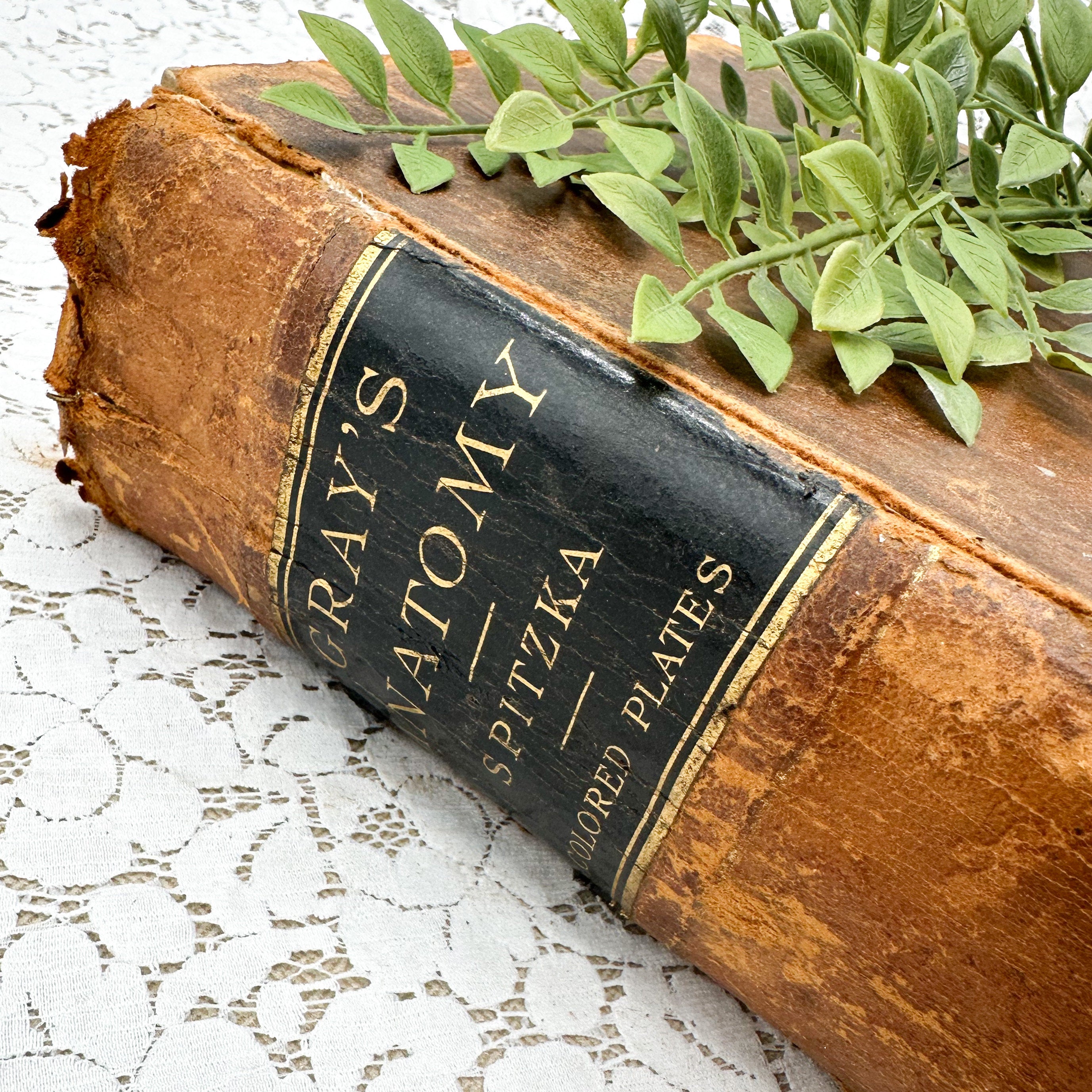 Vintage & Rare Books – A House of Books