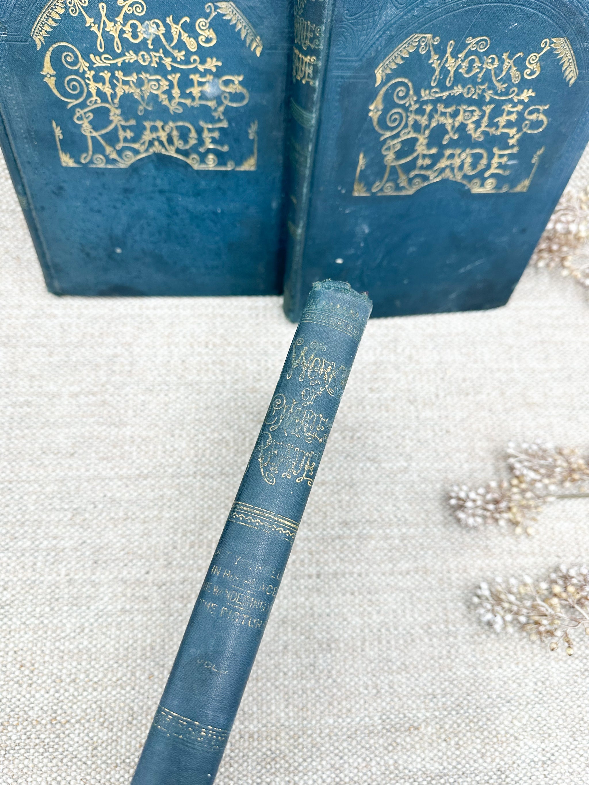 Charles Reade Book (Three Available) – A House of Books
